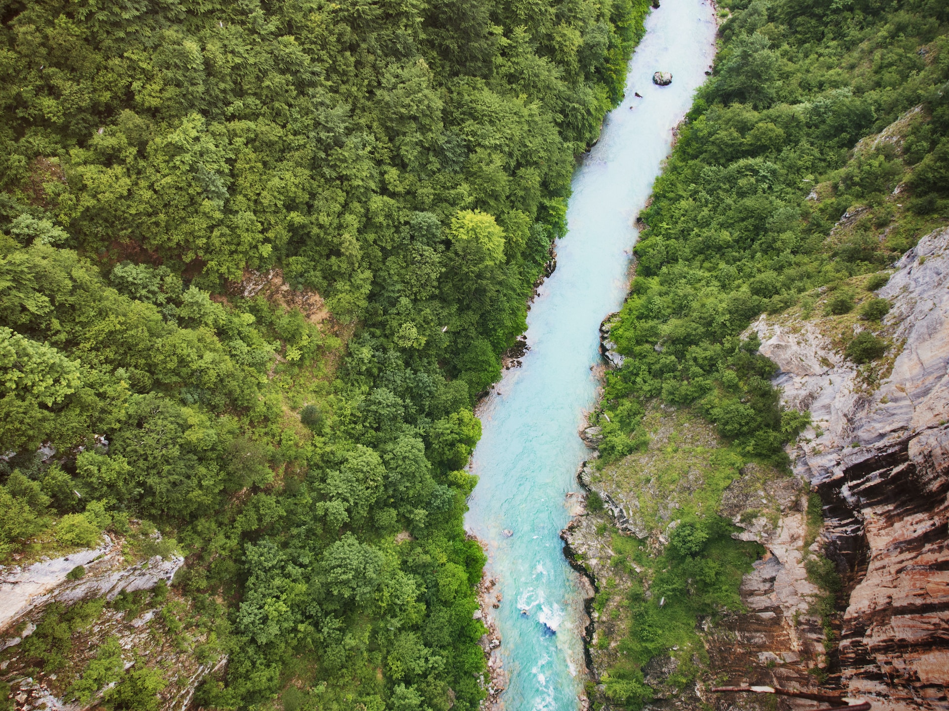 Rafting The Tara River: Montenegro's Wild Adventure - Balkan Geographic