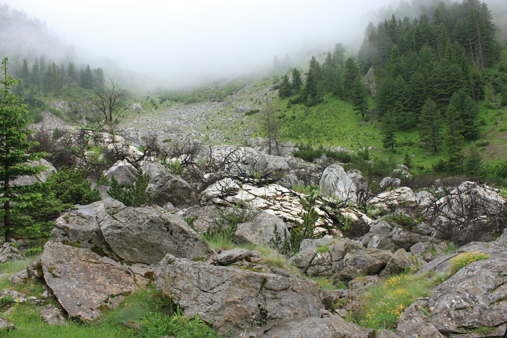 The Colors Of Kosovo: A Photographic Discovery - Balkan Geographic
